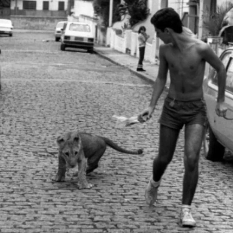 Conheça a história do garoto que criou um leão em casa no RJ - SE79